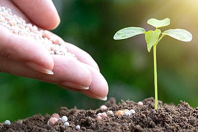 Fertilizers - Microelements mixtures